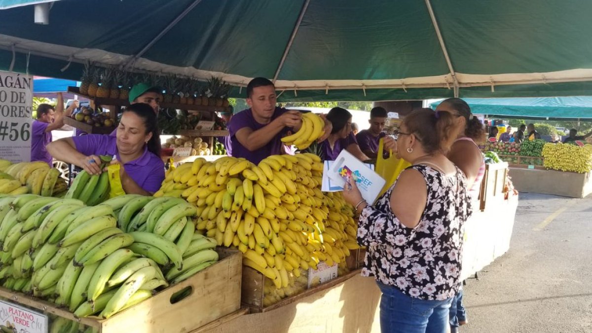 Mercados familiares: aquí la lista de precios – Telemundo Puerto Rico