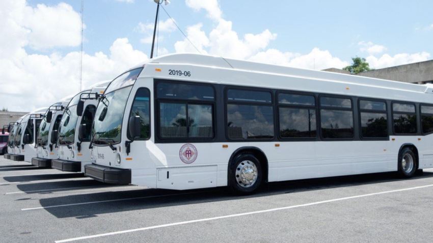Comienzan algunas rutas de la AMA y Tren Urbano – Telemundo Puerto Rico