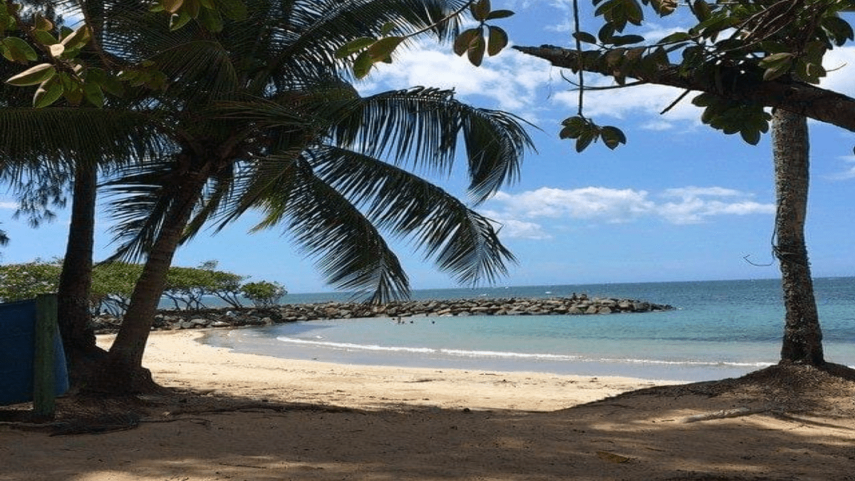 Scuba Dogs Society se prepara para Limpieza Internacional de Costas ...