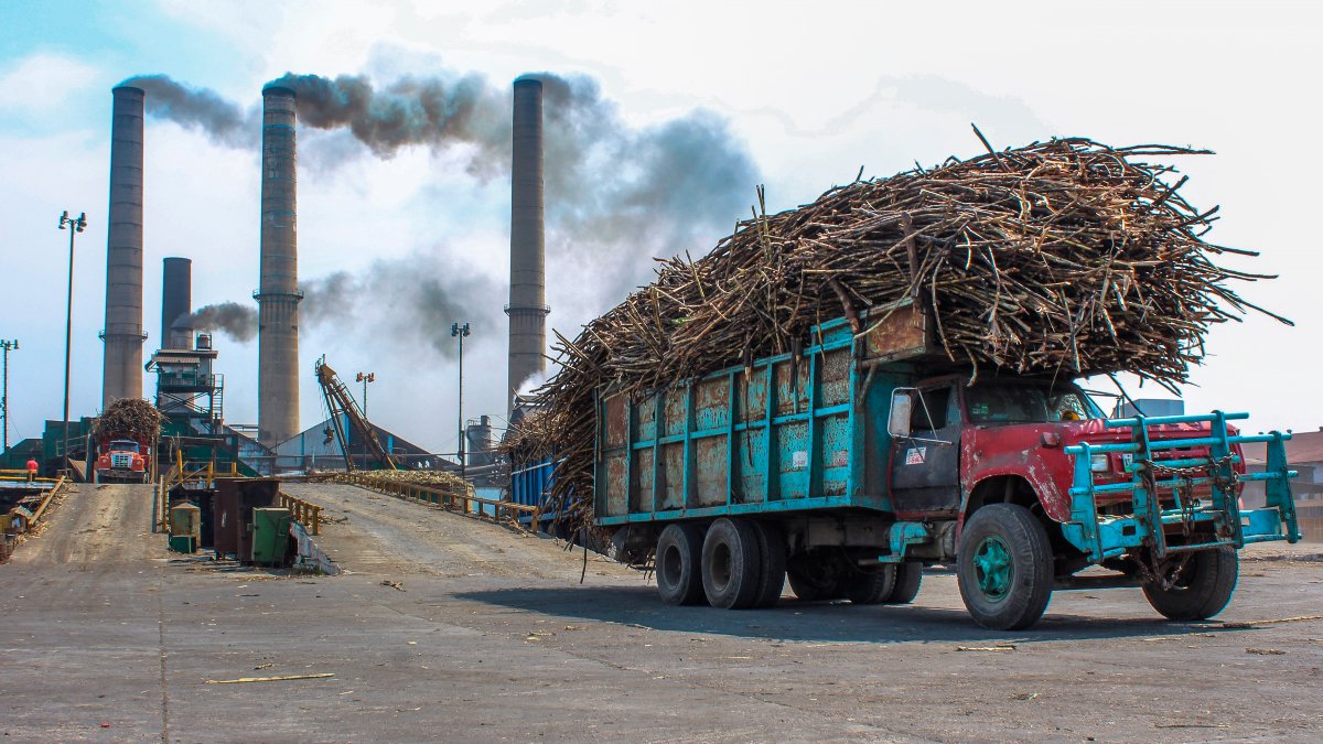 Sector azucarero se activa para producir alcohol y gel antibacterial ...