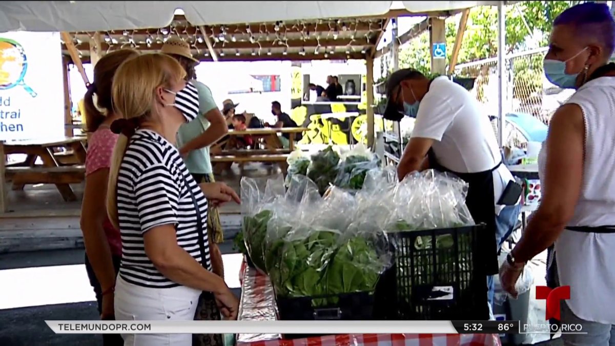 Abren mercado para promover venta de productos locales – Telemundo ...