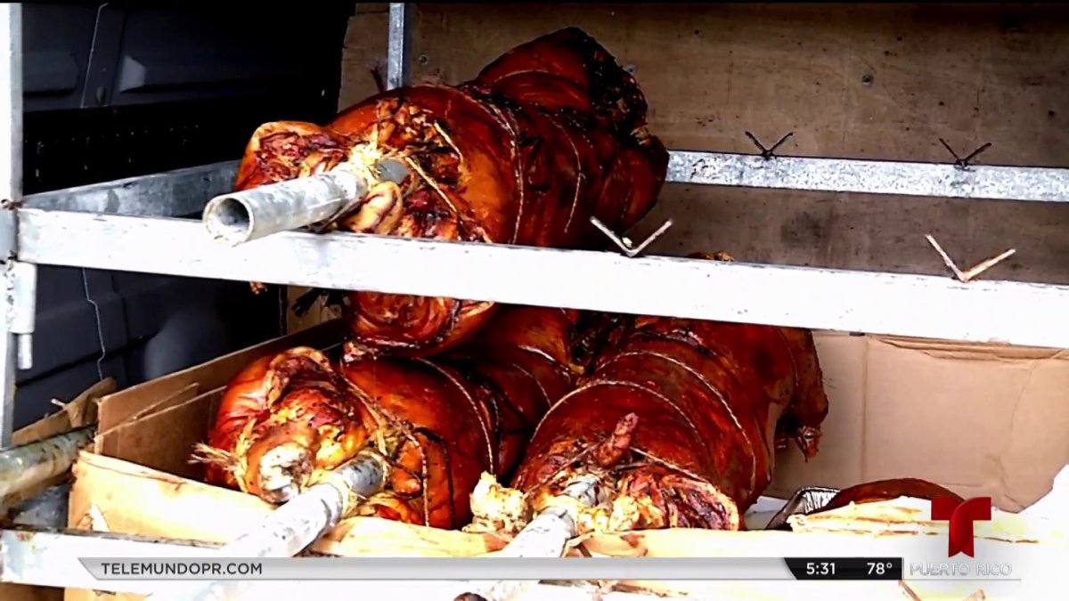 Porcinocultores detallan las bondades de la carne de cerdo de Puerto ...