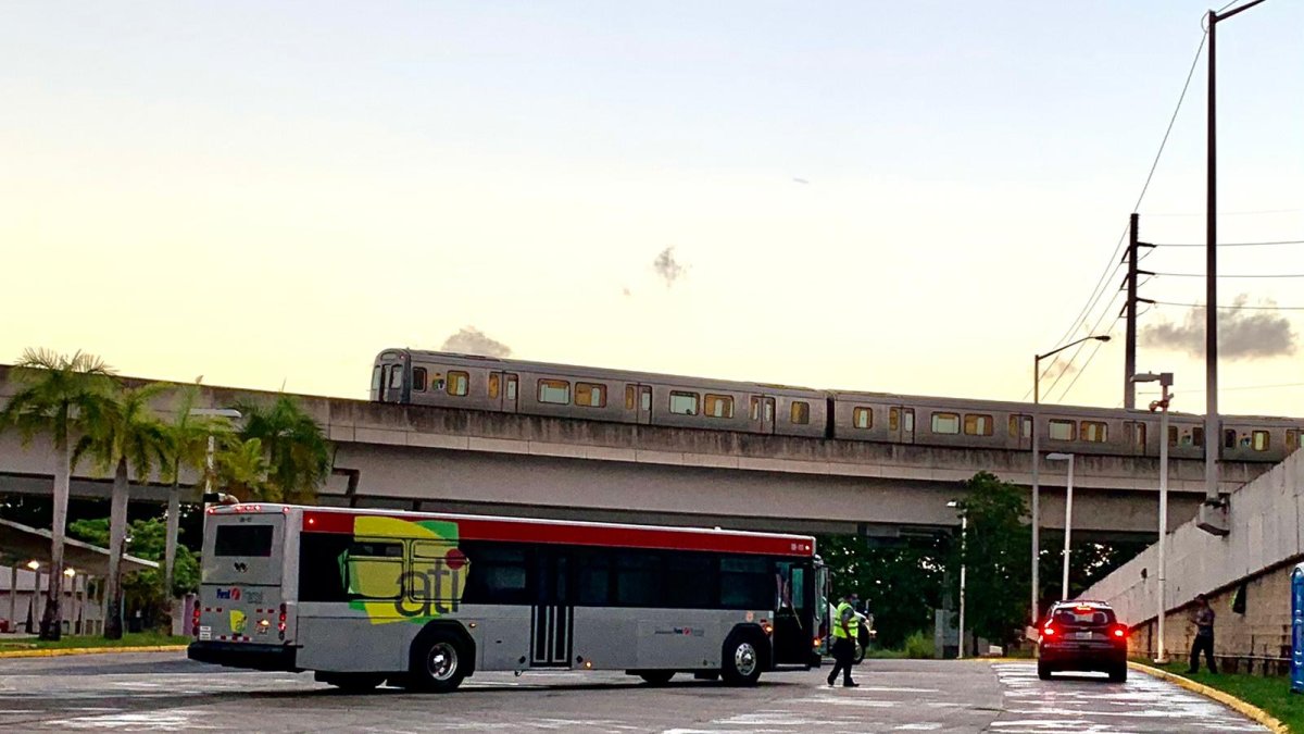 Luego de siete meses | AMA y el Tren Urbano reanudan operaciones ...