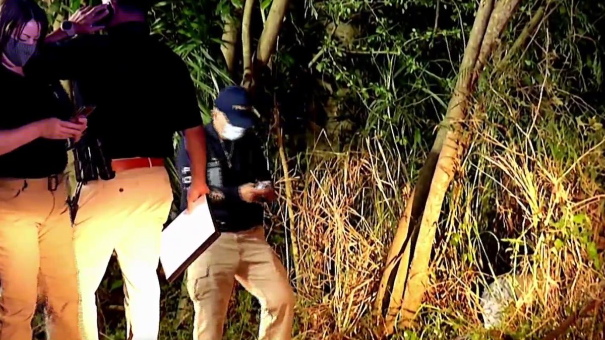 Autoridades investigan recientes asesinatos de mujeres – Telemundo ...