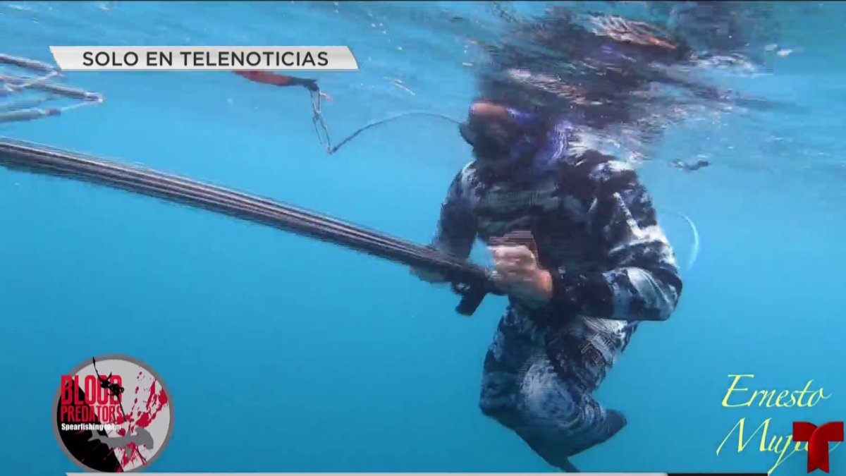Ataque de mantarraya le costó una mano, pero eso no detuvo a este ...