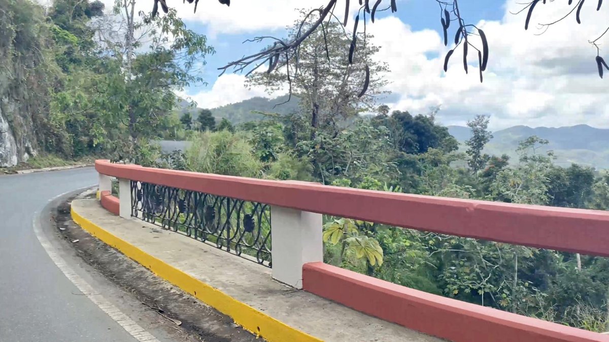 Puente Príncipe Alfonso XII en Cayey formará parte del Registro ...
