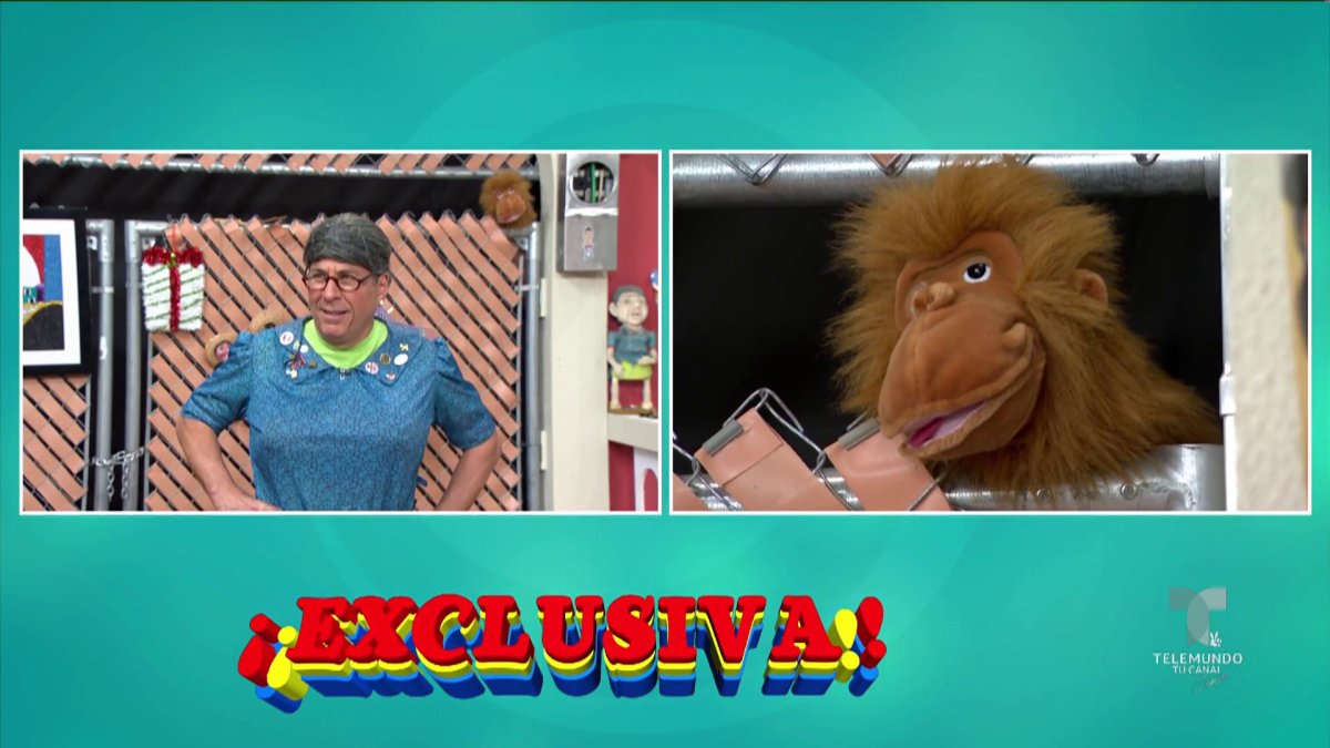 Plinia habla en exclusiva con el mono de Santurce – Telemundo Puerto Rico