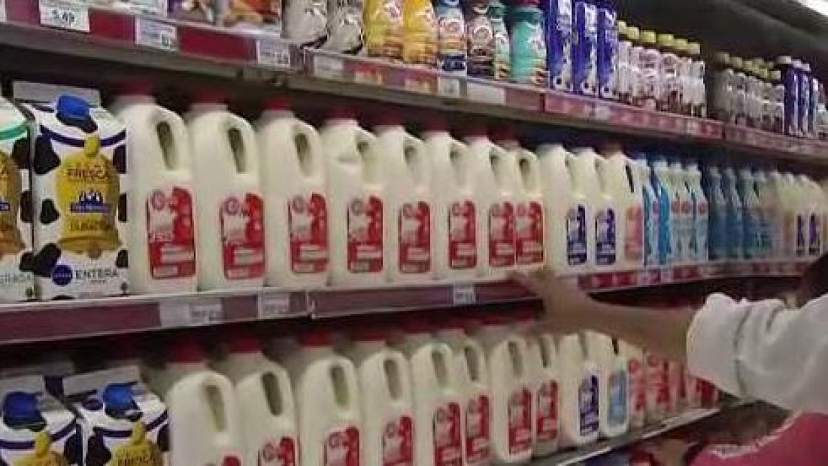 Aumenta el precio mínimo de la leche fresca y UHT – Telemundo Puerto Rico
