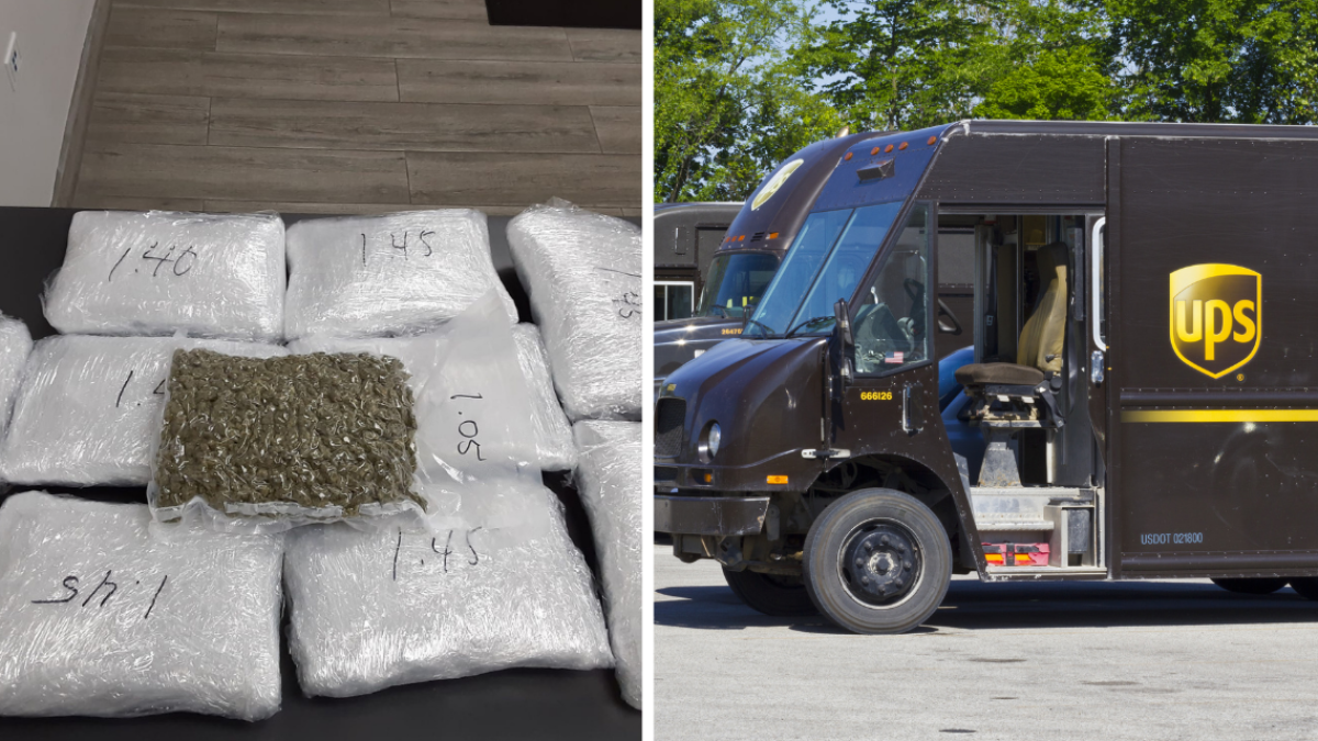 Ocupan 10 libras de marihuana en un paquete de UPS en Mayagüez ...