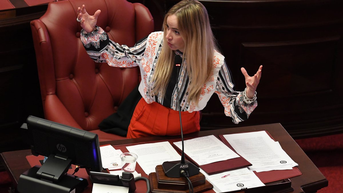 Rodríguez Veve le exige al secretario de Salud eliminar los proyectos ...