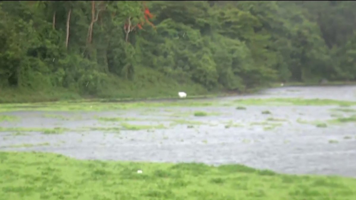 Aumenta el nivel del embalse Carraízo – Telemundo Puerto Rico