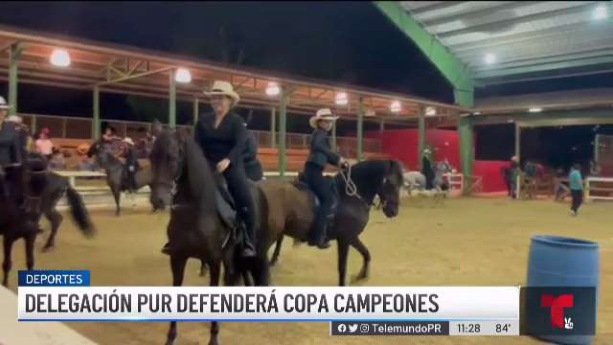 Delegación PUR defenderá su campeonato en paso fino – Telemundo Puerto Rico