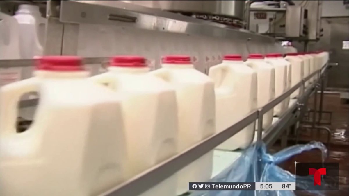 Más cara la leche fresca: conoce cuánto pagarás por el cuartillo ...