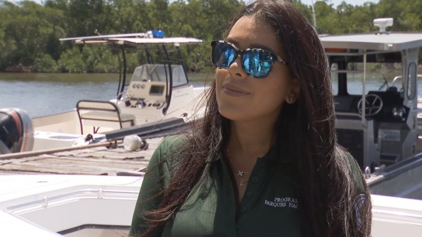 Gobernador designa a Anaís Rodríguez Vega como secretaria del DRNA ...