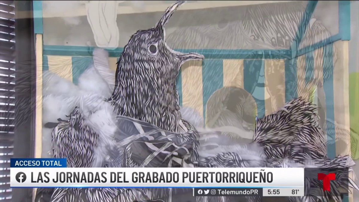 Jornada del Grabado Puertorriqueño – Telemundo Puerto Rico