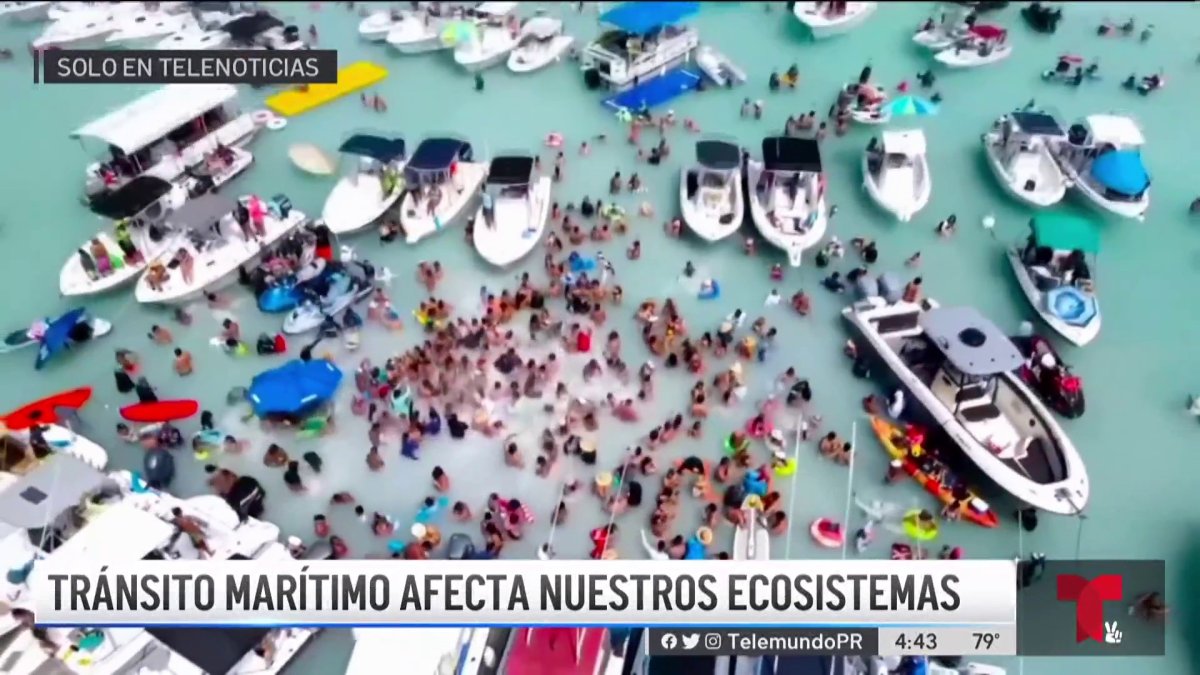 Aumento en tránsito marítimo pone en peligro nuestros ecosistemas ...