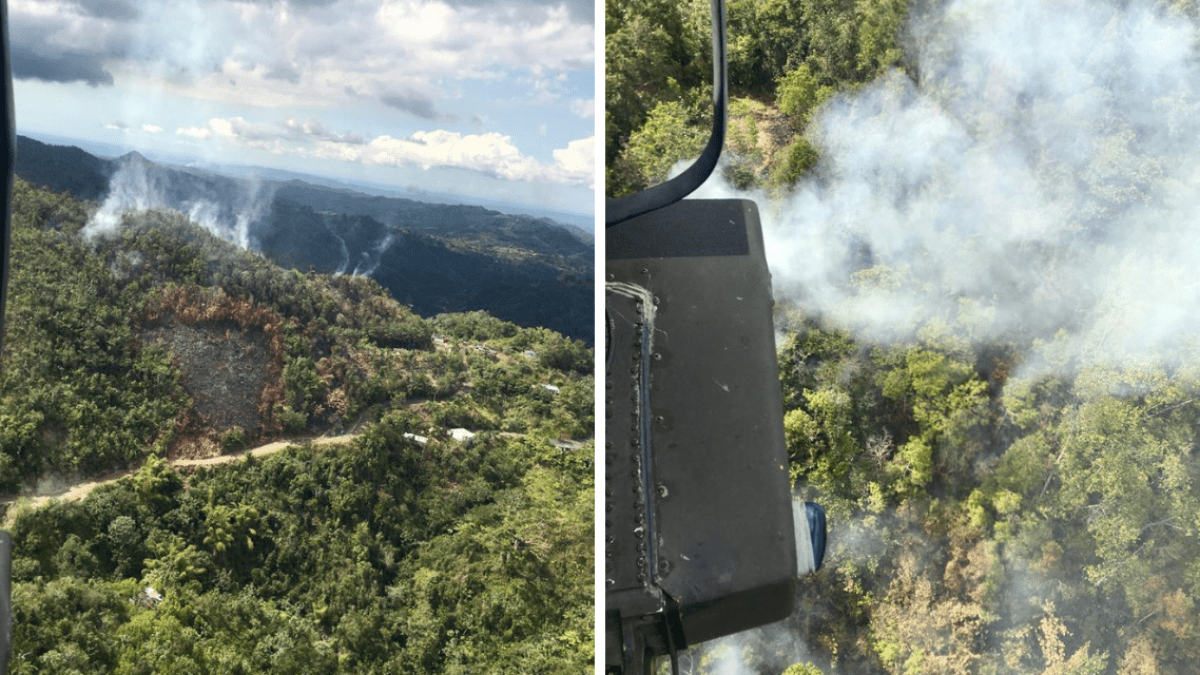 Intentan extinguir fuego forestal en Maricao – Telemundo Puerto Rico