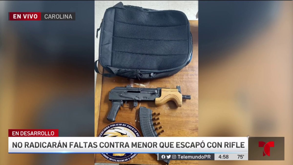 No radicarán faltas contra menor que se habría llevado rifle tras huir ...