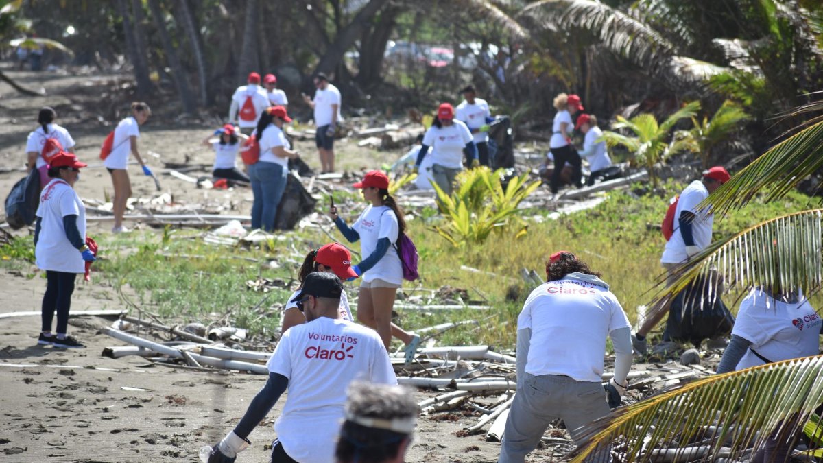 Empleados voluntarios de Claro hacen limpieza de playa junto a Scuba ...