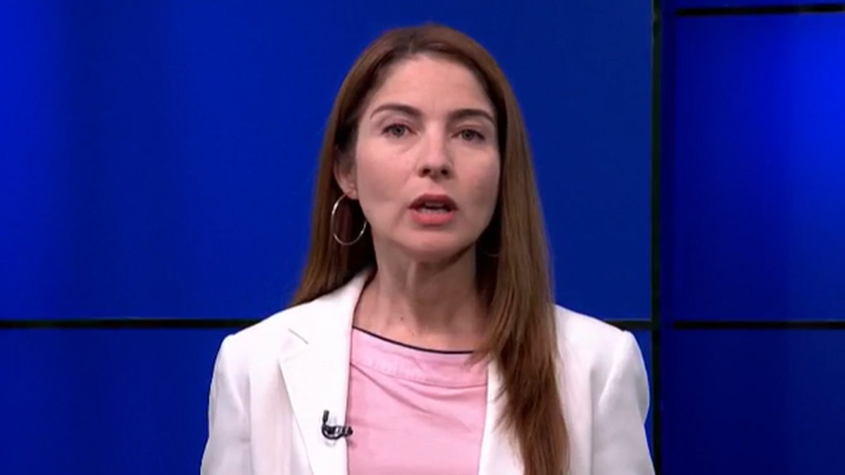 Senado cuelga nombramiento de Nannette Martínez como directora de PRITS ...