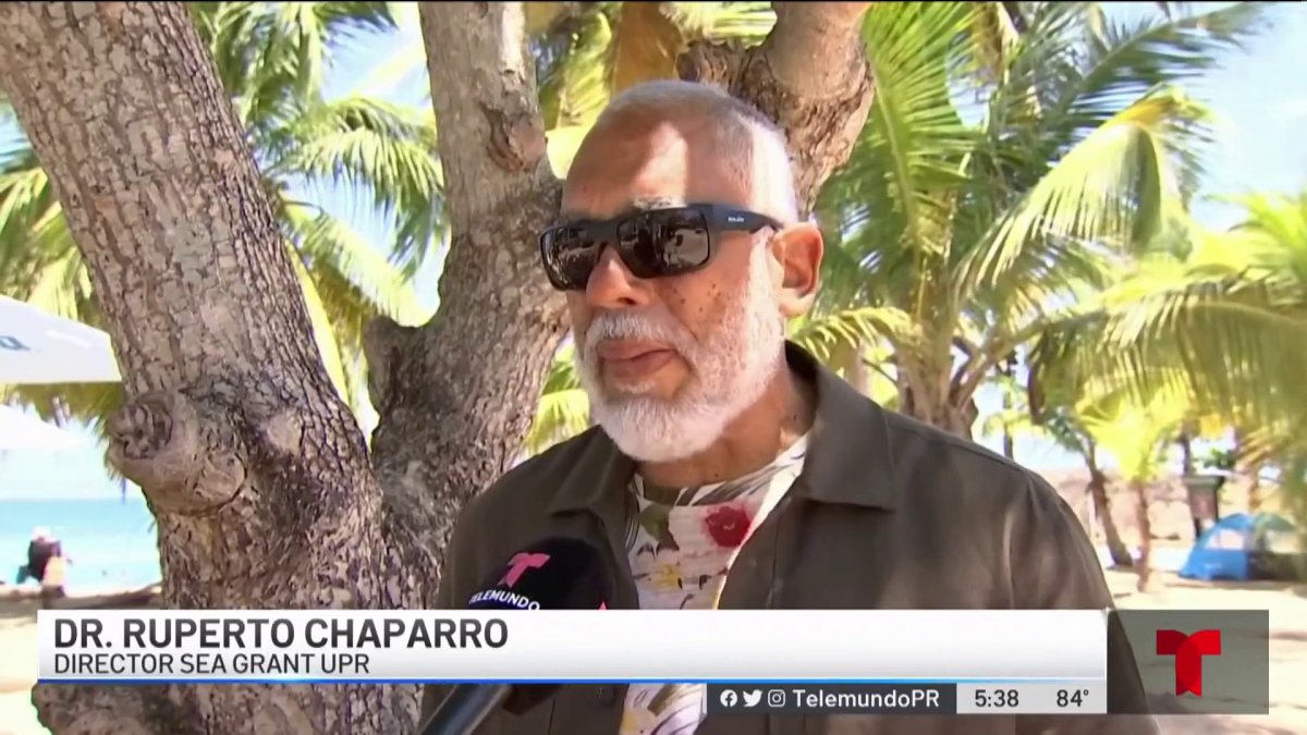 Crean aplicación que promueve destinos para surfear en la Isla ...