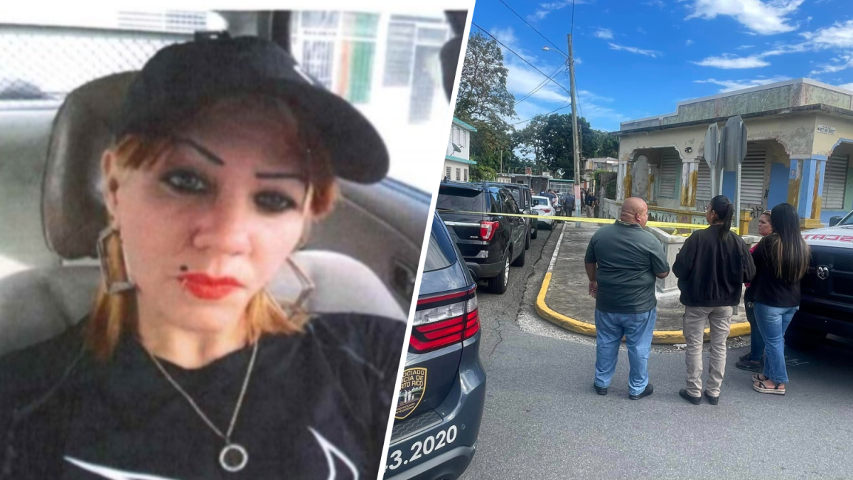Cuerpo hallado dentro de una bolsa corresponde a mujer desaparecida en Puerto Rico – Telemundo ...