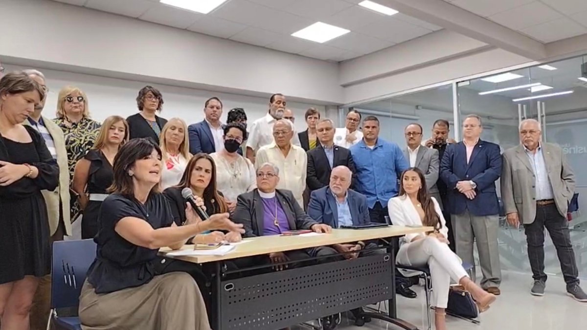 Insisten en que Plan de Ajuste de la AEE pone en riesgo la recuperación ...