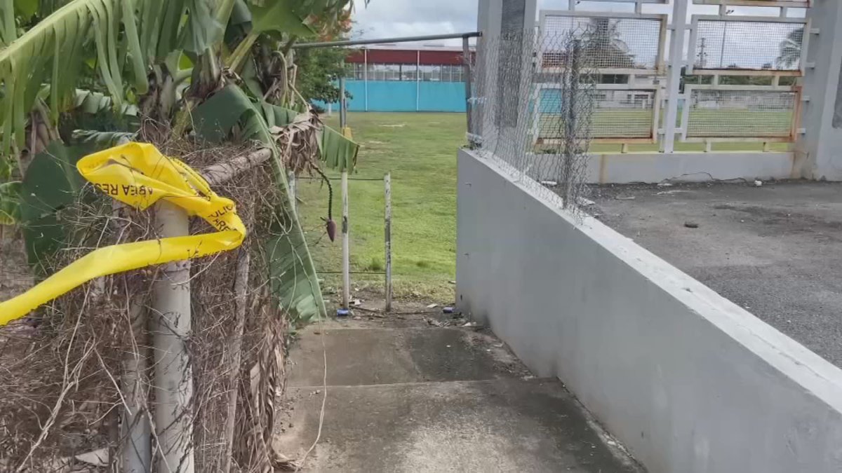 Tiroteo en Vega Alta deja un muerto y cinco heridos, incluyendo un ...