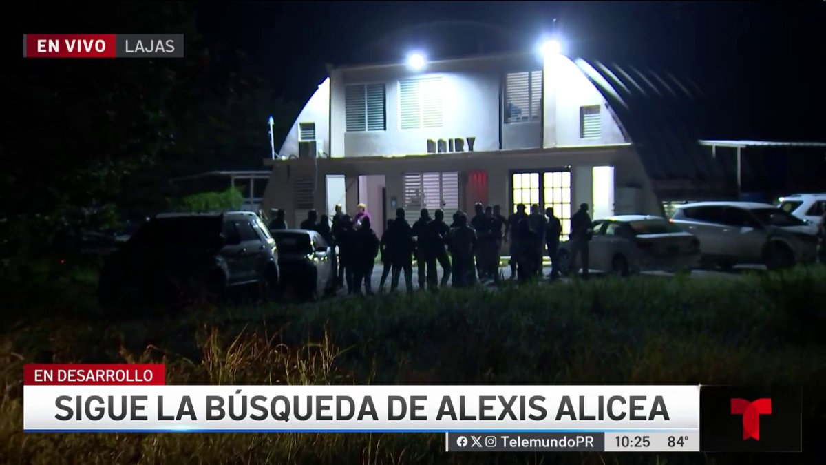 Ocupan pistola, ropa y machete durante búsqueda de Alexis Alicea ...