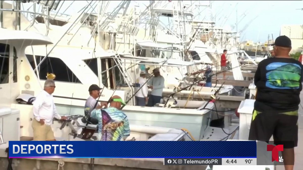 Club náutico celebra los 70 años del Torneo Internacional de Pesca de ...