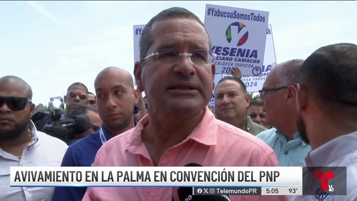 A la expectativa de una primaria los militantes del PNP – Telemundo ...