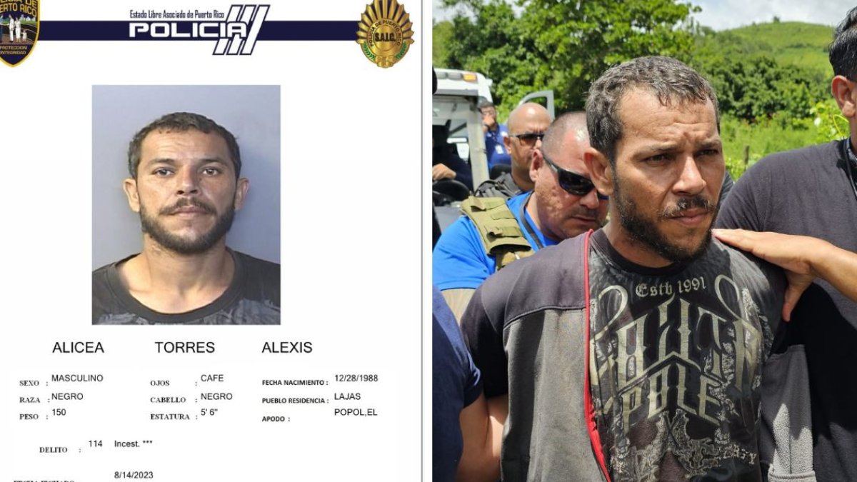 Alexis Alicea se declara culpable tras acuerdo – Telemundo Puerto Rico