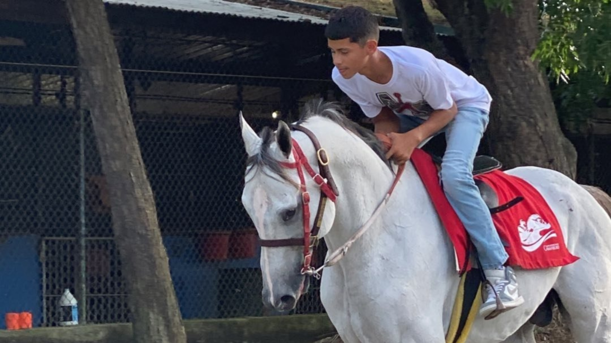 Asesinan a adolescente en urbanización de Canóvanas – Telemundo Puerto Rico