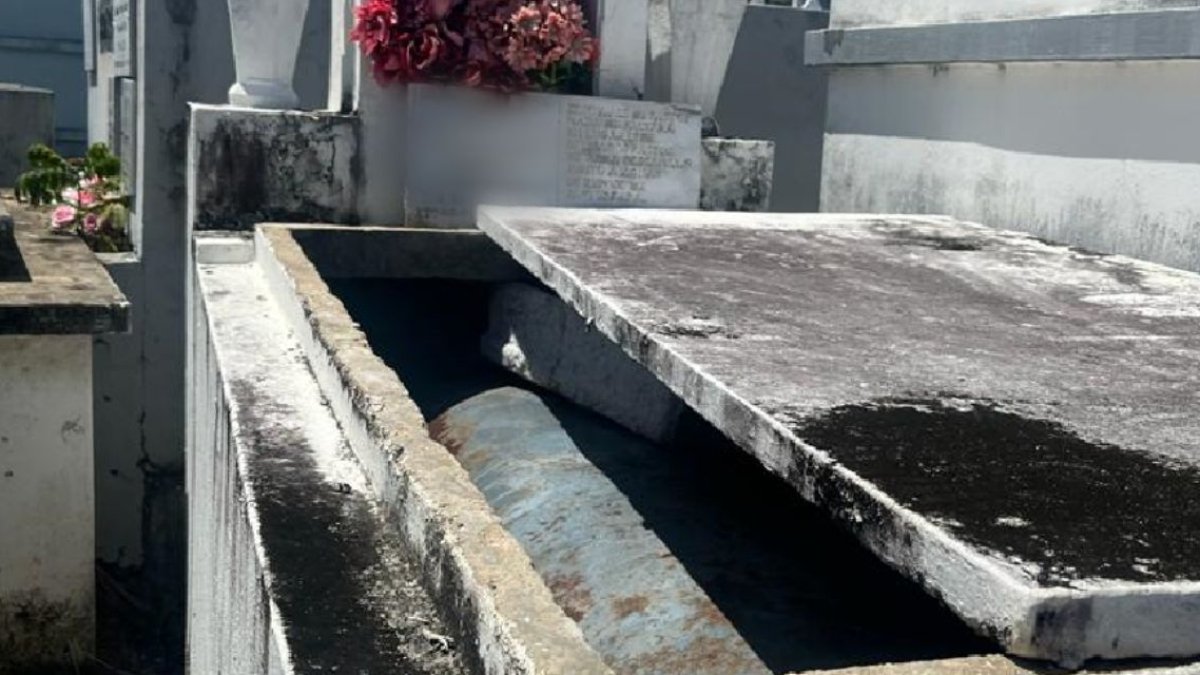 Profanan tumba de un bebé en Vega Baja – Telemundo Puerto Rico