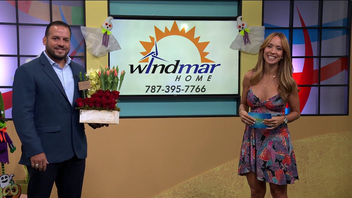 Windmar Home: no caigas en el “pescaíto solar” – Telemundo Puerto Rico