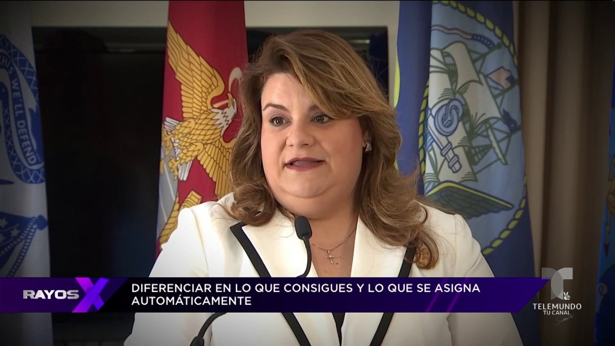 Pasamos por los Rayos X la obra de JGo en Washington – Telemundo Puerto ...