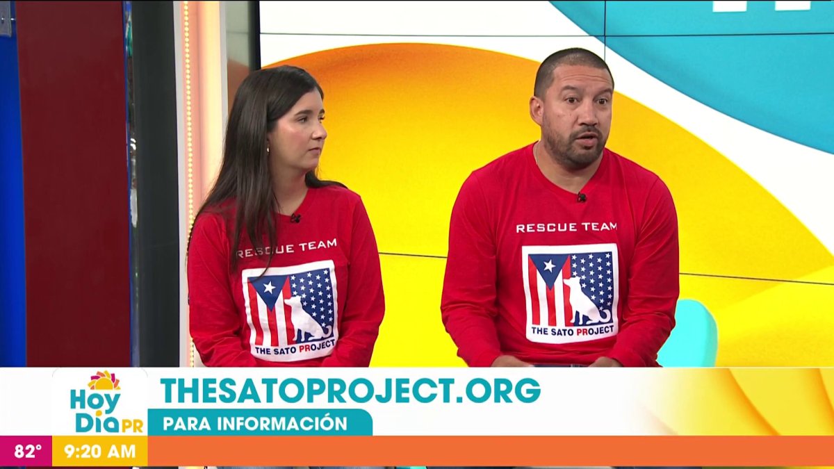 The Sato Project lanza campaña de esterilización y vacunación de ...