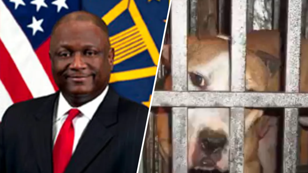 Maryland: Funcionario del Pentágono habría dirigido peleas de perros ...