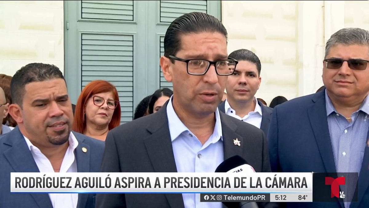 Rivera Schatz y Gabriel Rodríguez Aguiló buscarán presidir la ...