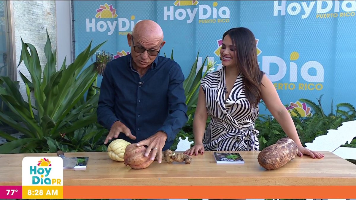 Cómo sembrar malanga, chayote y jengibre – Telemundo Puerto Rico