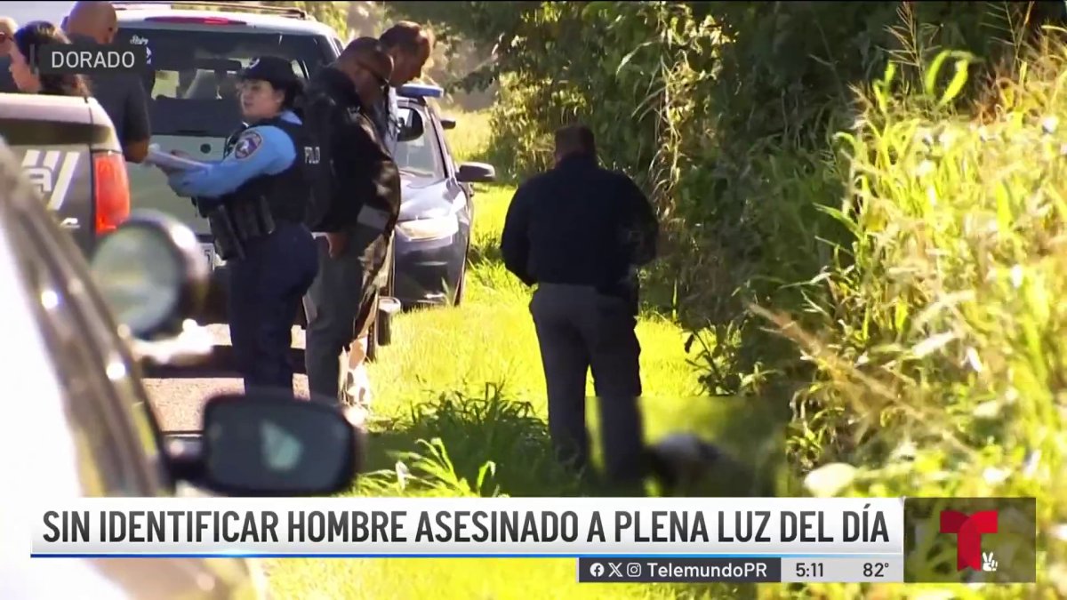Sin Identificar Hombre Asesinado En Dorado Telemundo Puerto Rico