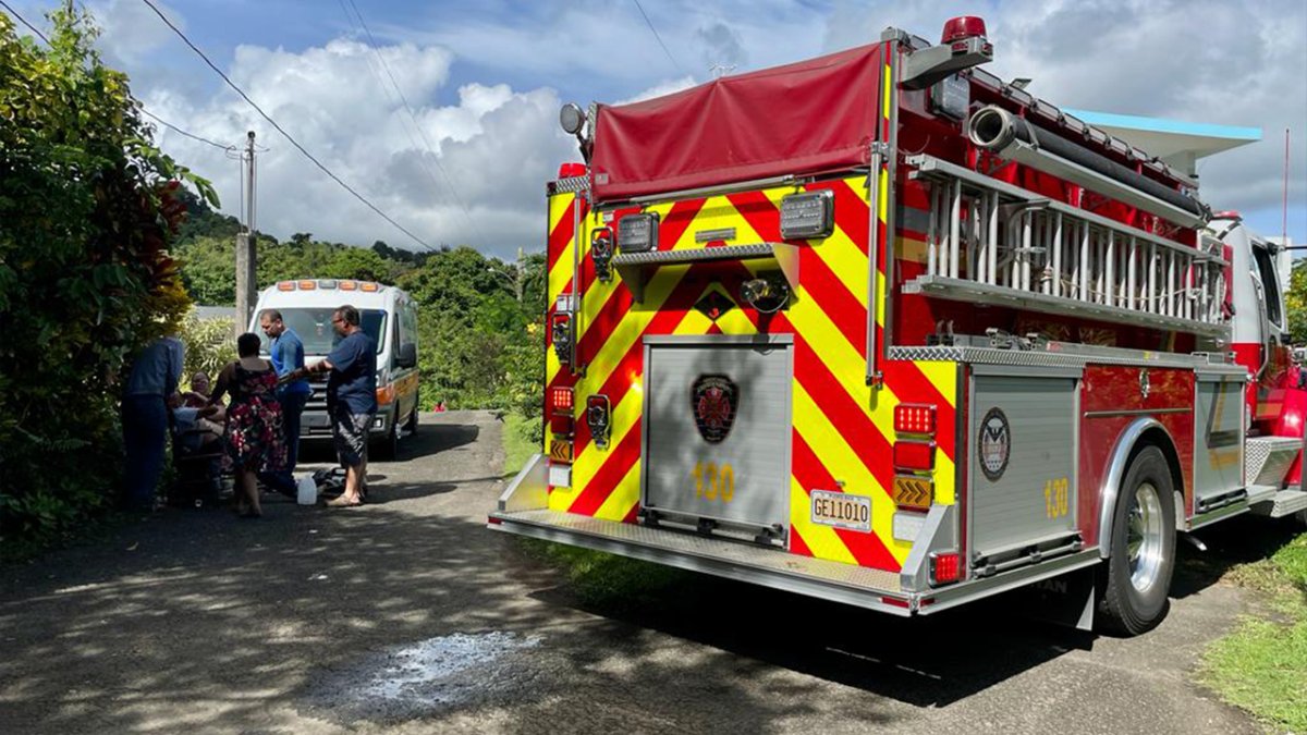 Puerto Rico: hombre muere luego que árbol le cayera encima en San ...