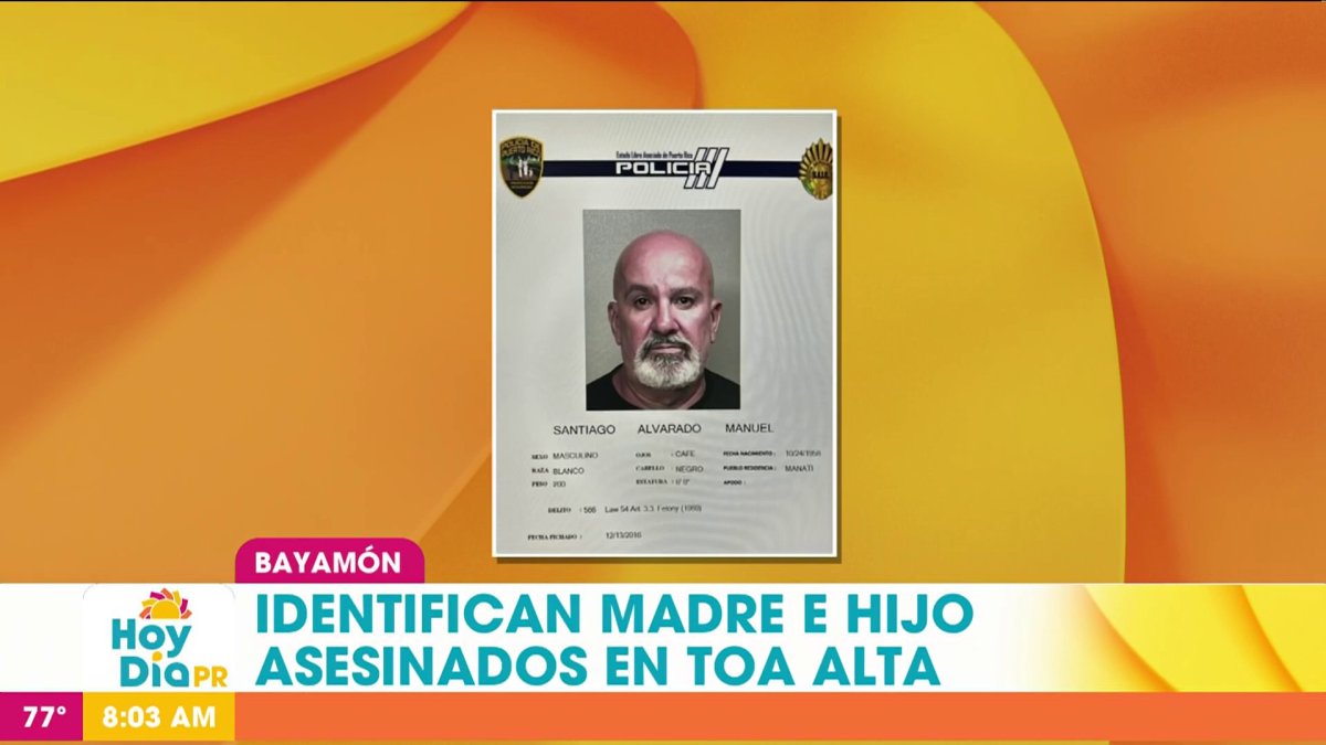 Con expediente criminal sospechoso de ultimar a su pareja e hijo en Toa ...