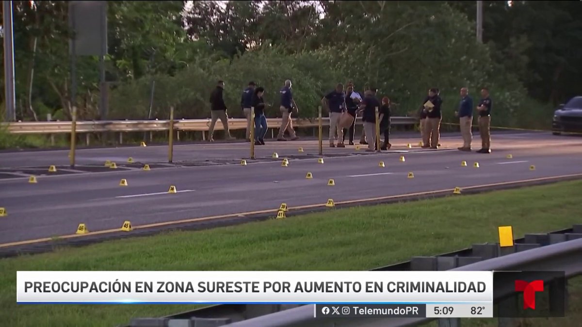 Preocupación por aumento en la criminalidad en el este de Puerto Rico ...