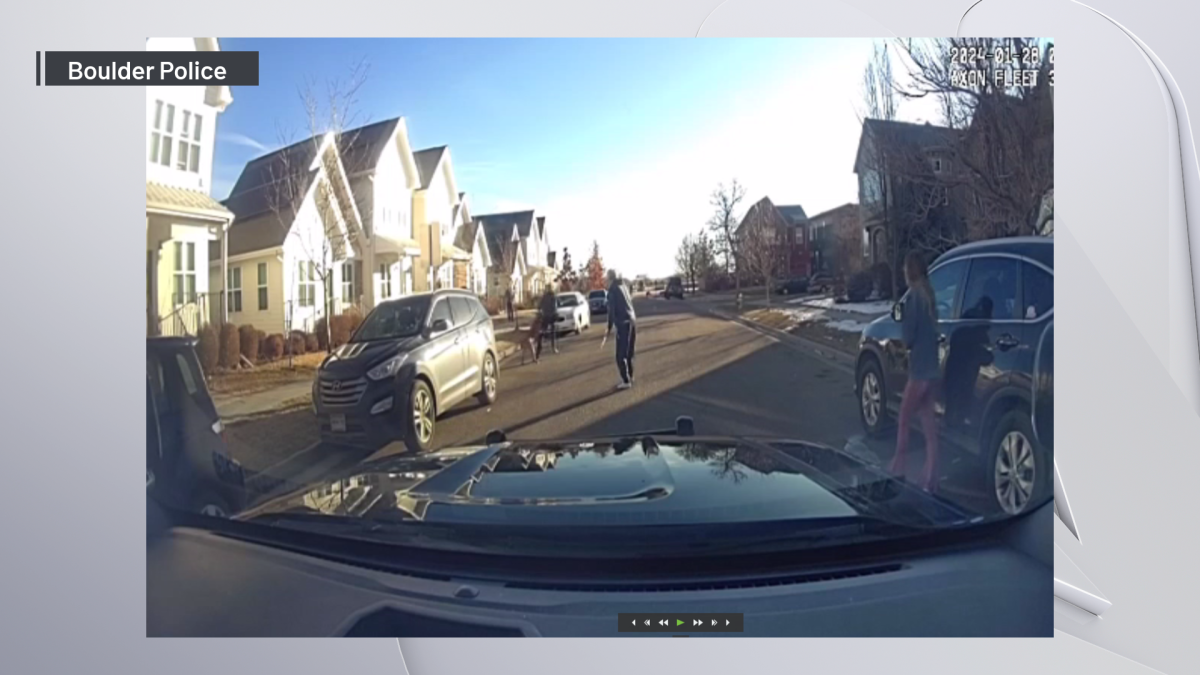 Policía de Boulder mata a perro que atacó a su dueño – Telemundo Puerto ...