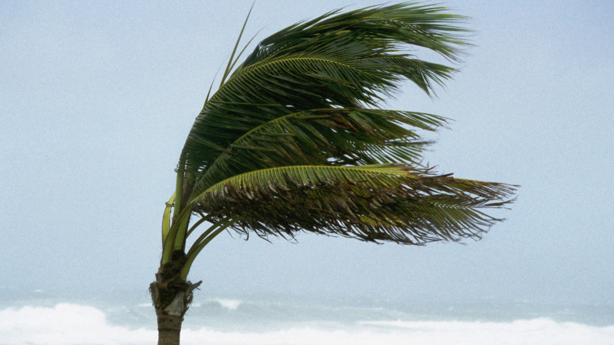 Advertencia por viento para Puerto Rico – Telemundo Puerto Rico