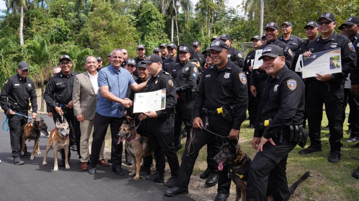 Canes de la Unidad K-9 son ascendidos a Sargentos – Telemundo Puerto Rico