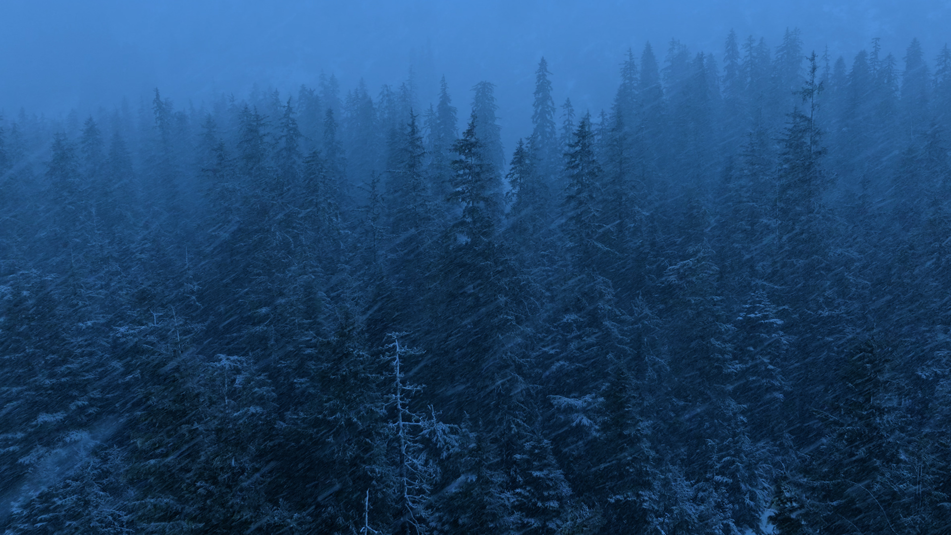 A dónde va la basura y cómo funcionan los vertederos – Telemundo Puerto ...
