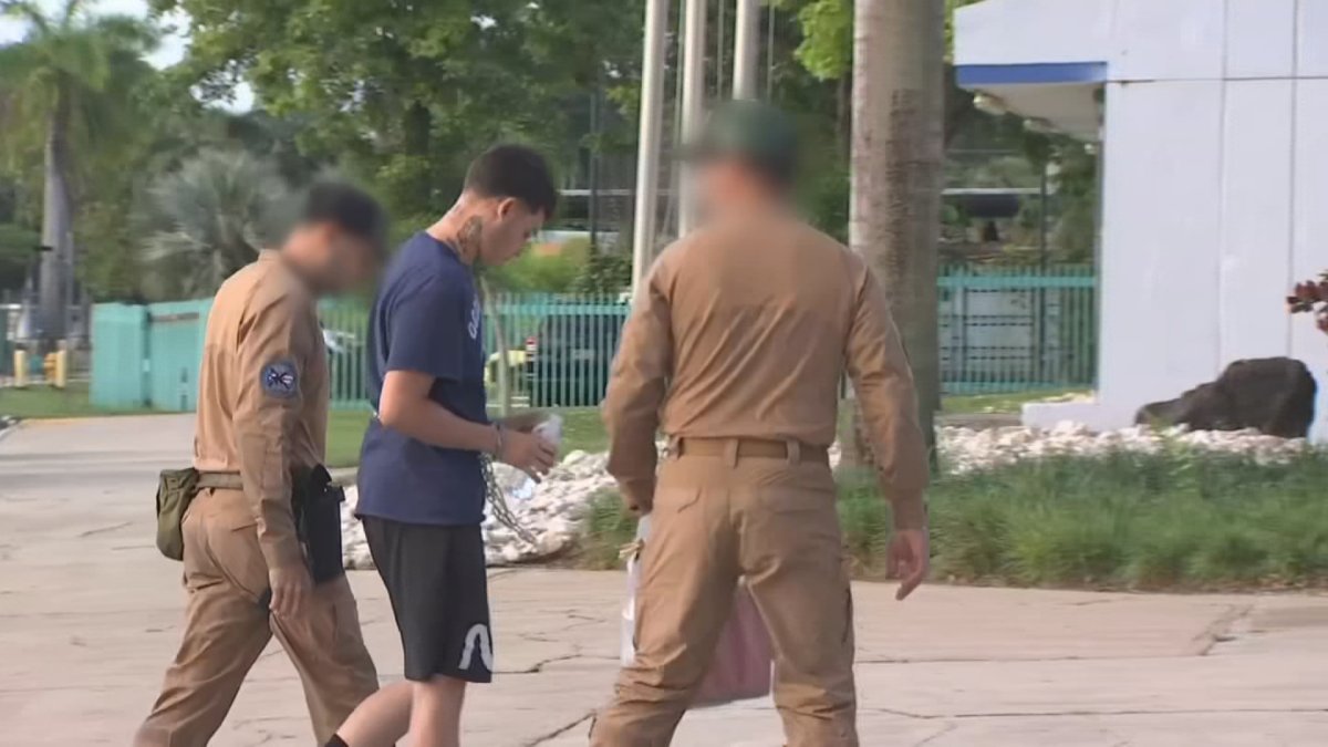 Operativo en Arecibo: diligencian varias órdenes de arresto – Telemundo ...