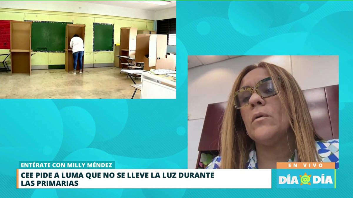 ¿Todo listo en la CEE para las primarias? – Telemundo Puerto Rico